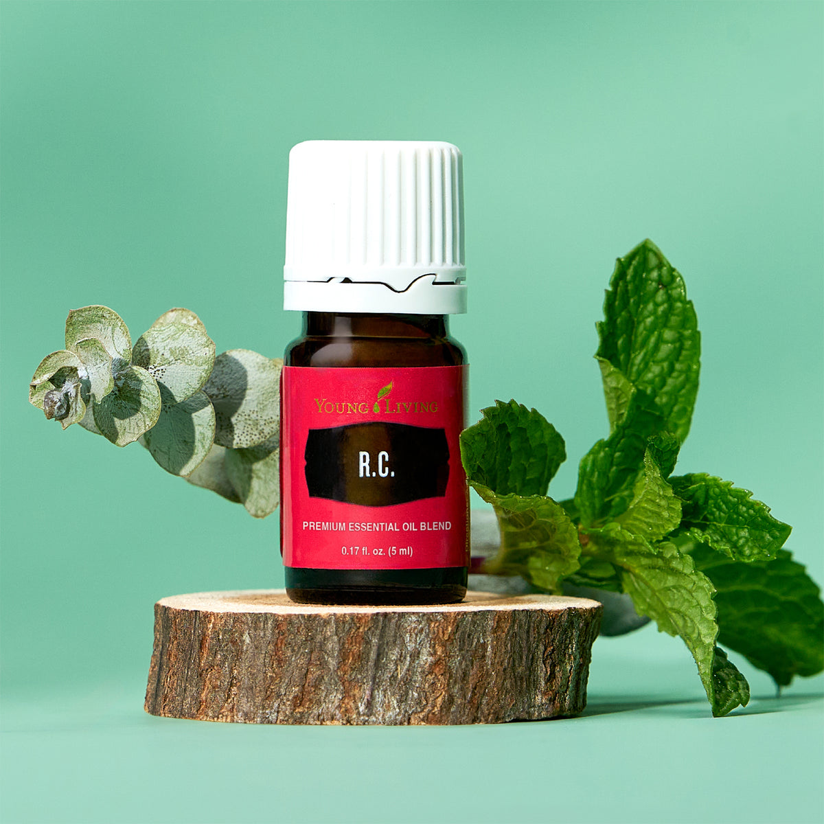 R.C.™ essential oil blend, 5 ml | Jubilee Gift Shop