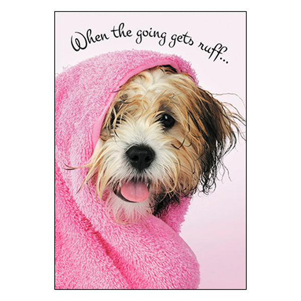 Encouragement & Support Card: Know you are surrounded by love and wrap ...