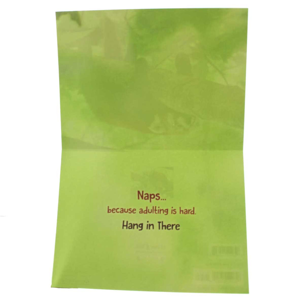 Encouragement & Support Card: Hang in there (photo of napping red pand ...